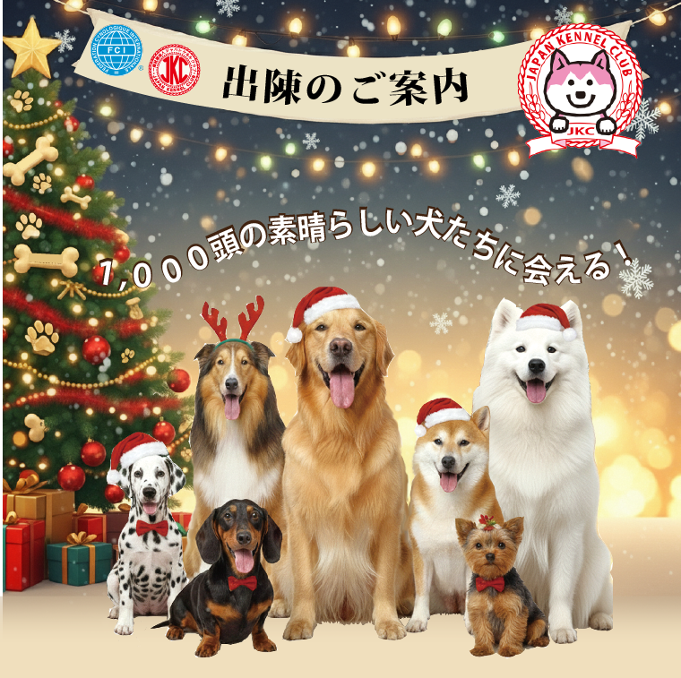 開催のご案内 「JKC特別本部展2025」 | 一般社団法人 ジャパンケネルクラブ